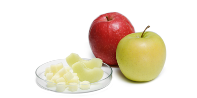 VOG PRODUCTS - Producer - Frozen Food